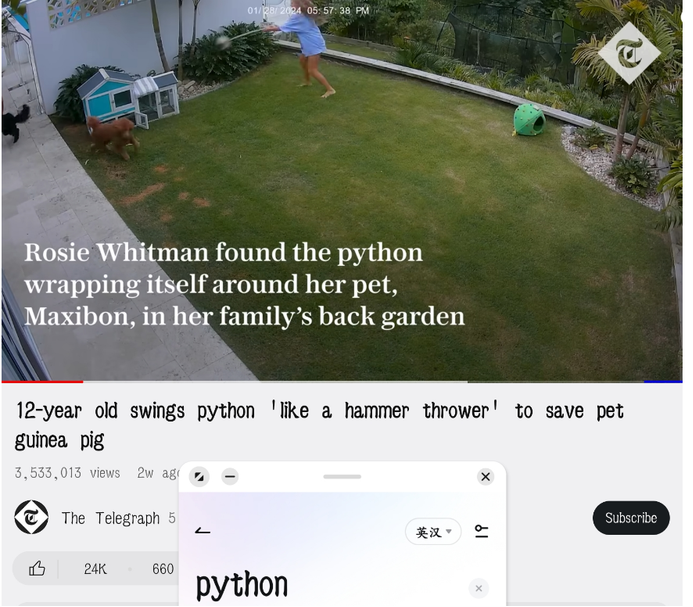 DAY36--learning English-CSDN博客