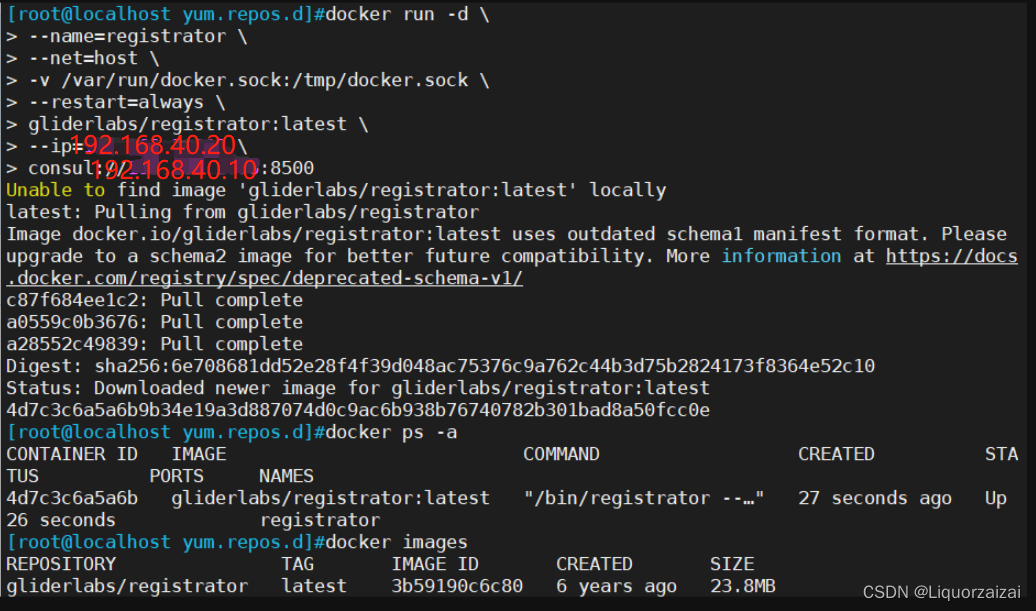 Docker系类之consul 自动发现与自动注册-CSDN博客