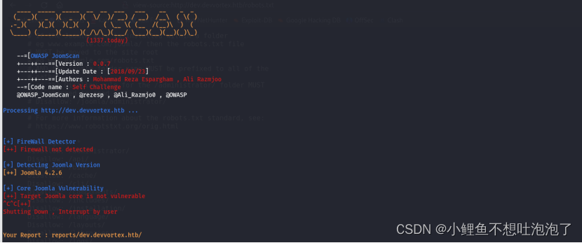 HTB-Devvortex-CSDN博客