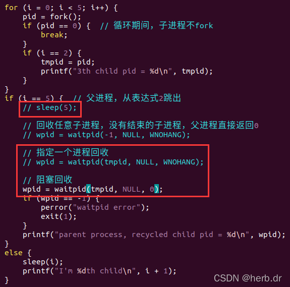 Linux学习日记15——exec函数族、回收子进程_execvp-CSDN博客