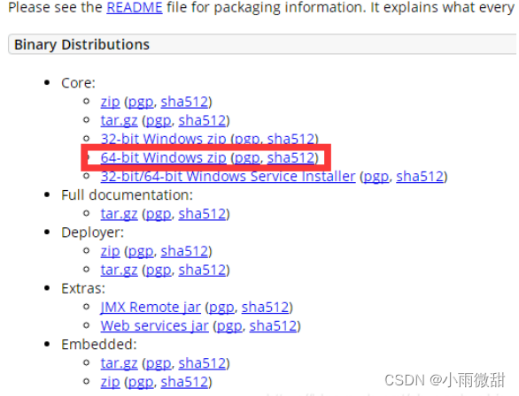 apache-tomcat-10.0.23下载配置和idea配置_tomcat10.0.23-CSDN博客