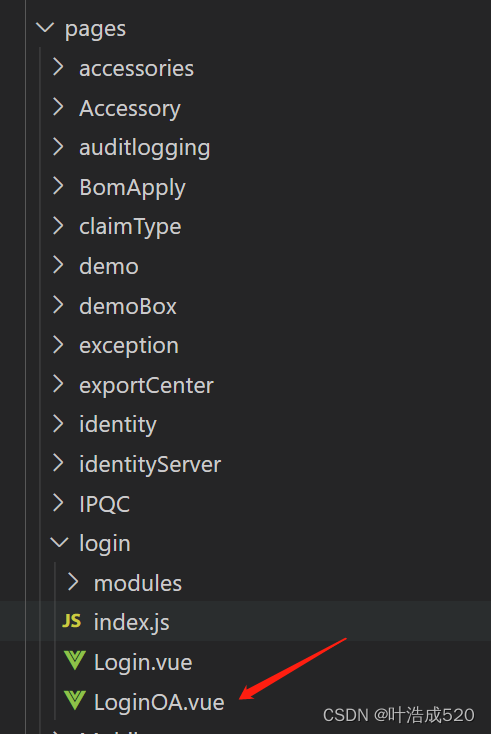 antd-vue-admin——通过链接跳过登录页直接进入系统内部——基础积累-CSDN博客