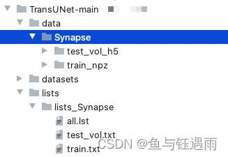 复现TransUnet官方代码用于训练自己数据集-超详细实操和debug记录_transunet训练自己的数据集-CSDN博客