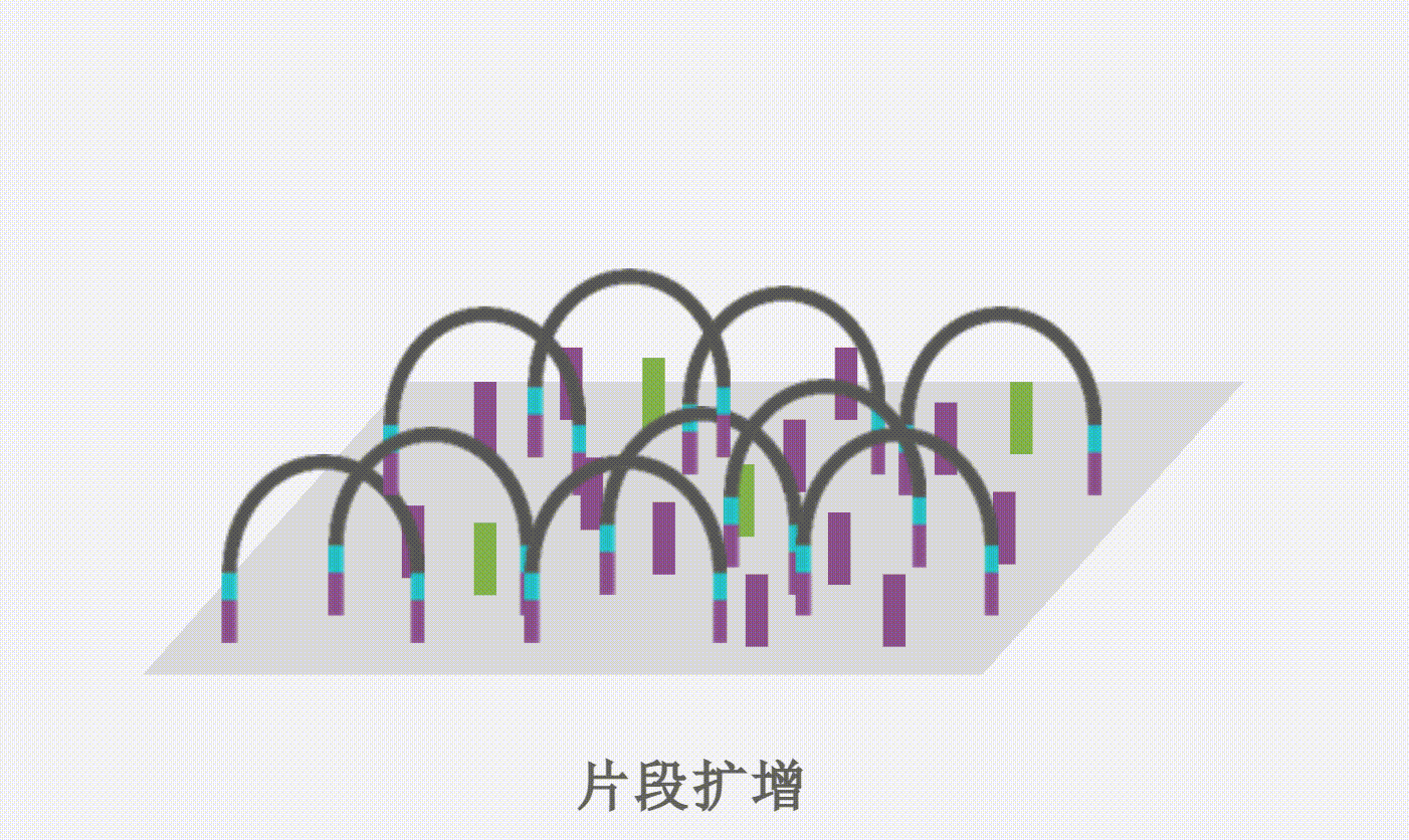 文库制备与边合成测序：SBS技术详解,-CSDN博客