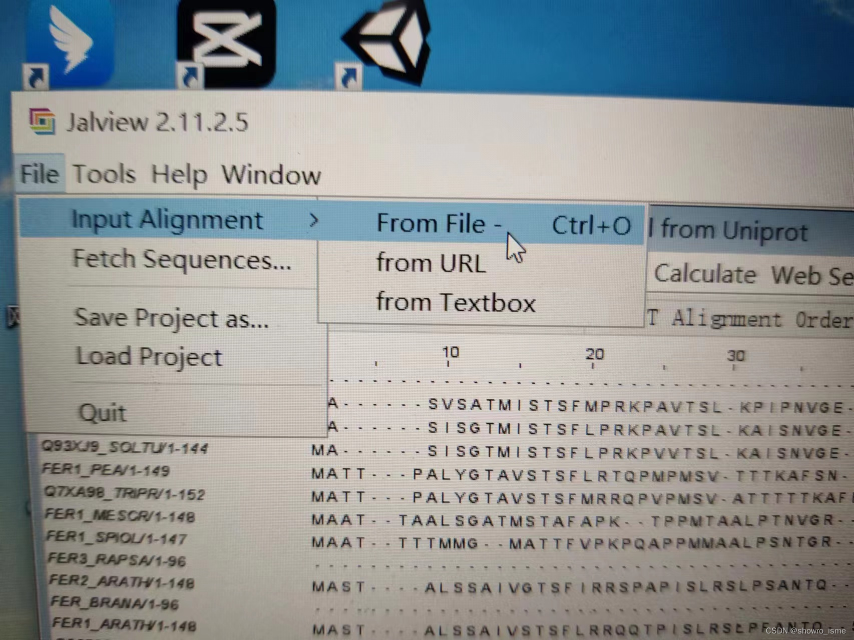 jalview批量计算蛋白/核酸序列之间的identity，并展示到excel进行筛选_jalview alignment点不了-CSDN博客
