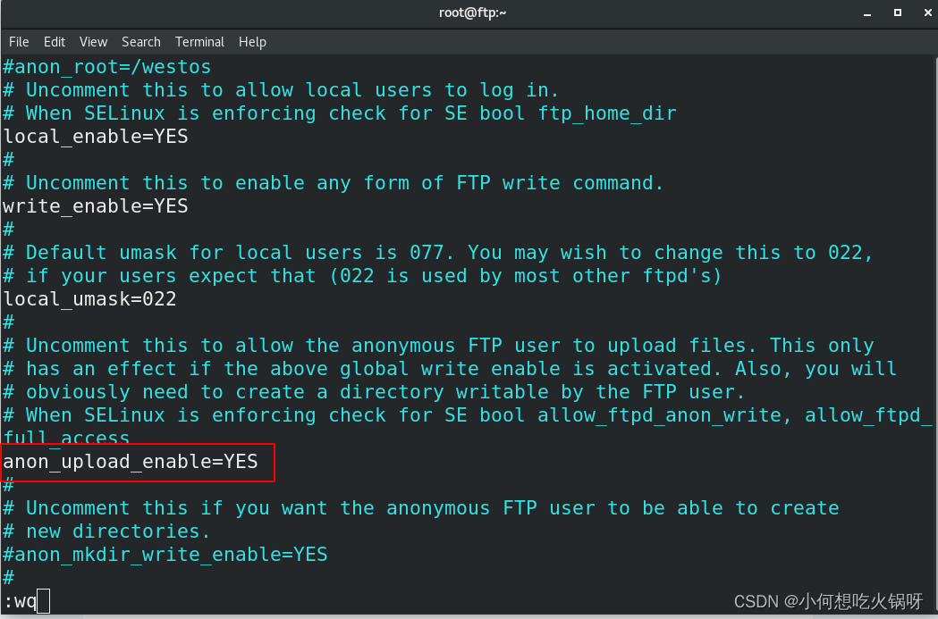 复习之vsftp服务_vsftpd.service-CSDN博客