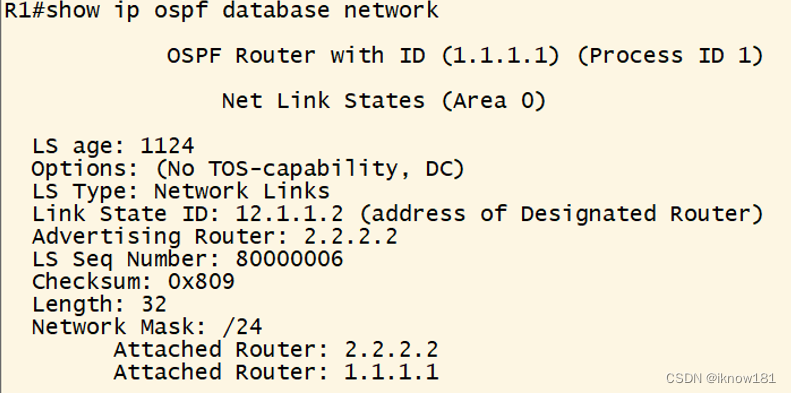 【CCNP】第五章 动态路由协议-OSPF-CSDN博客