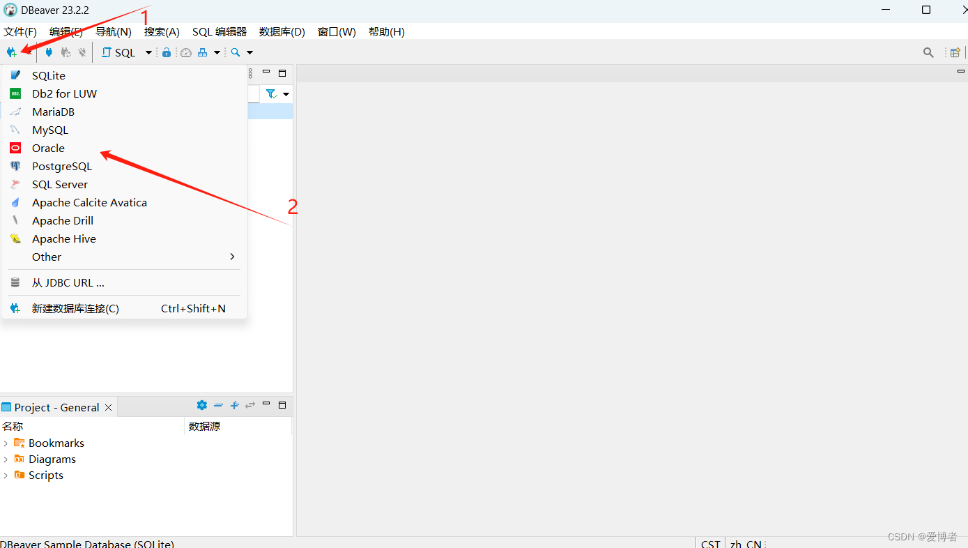 Debaver初次安装如何连接（带安装包）_debaver安装-CSDN博客