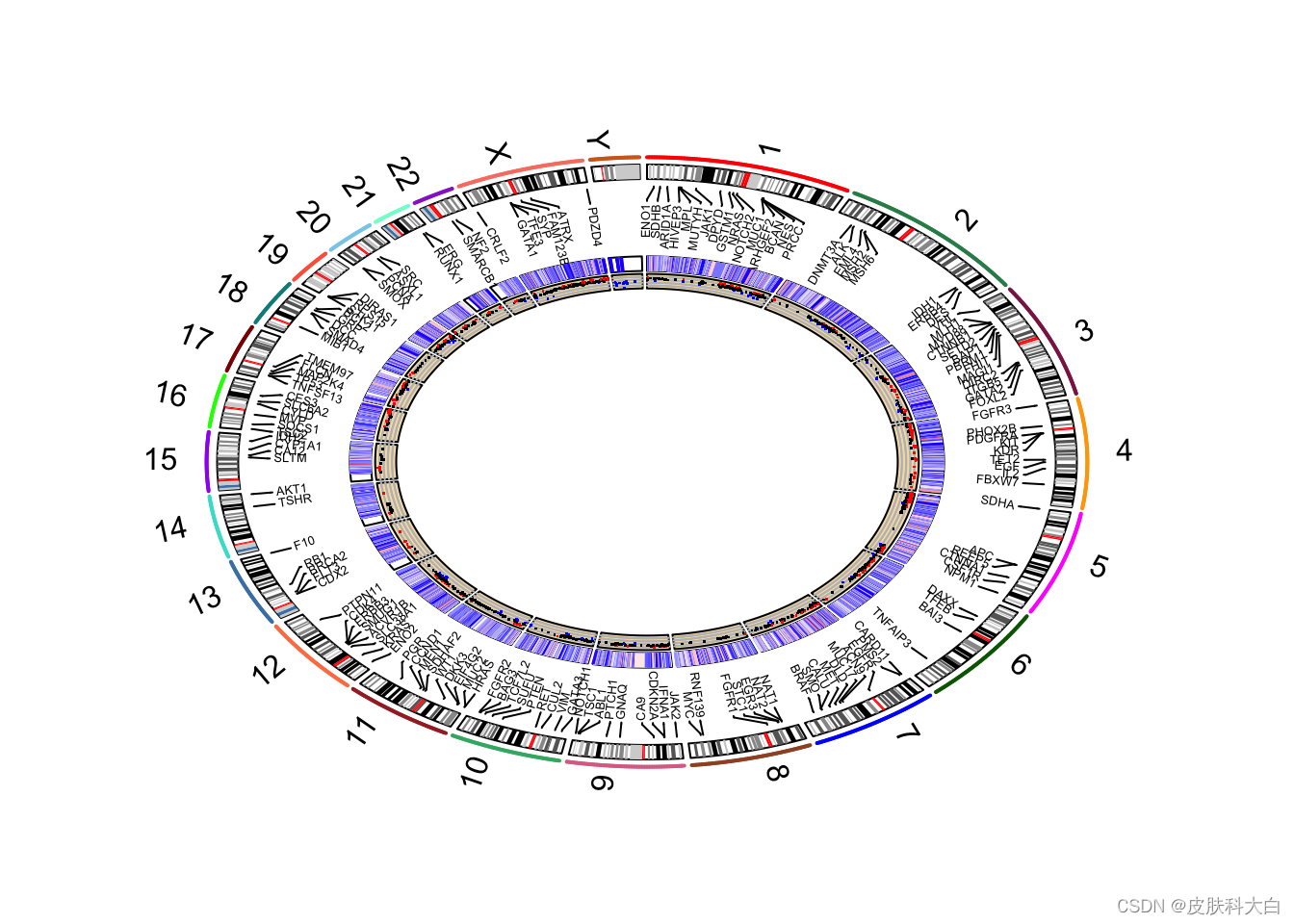 用RCircos包来画圈圈图-CSDN博客