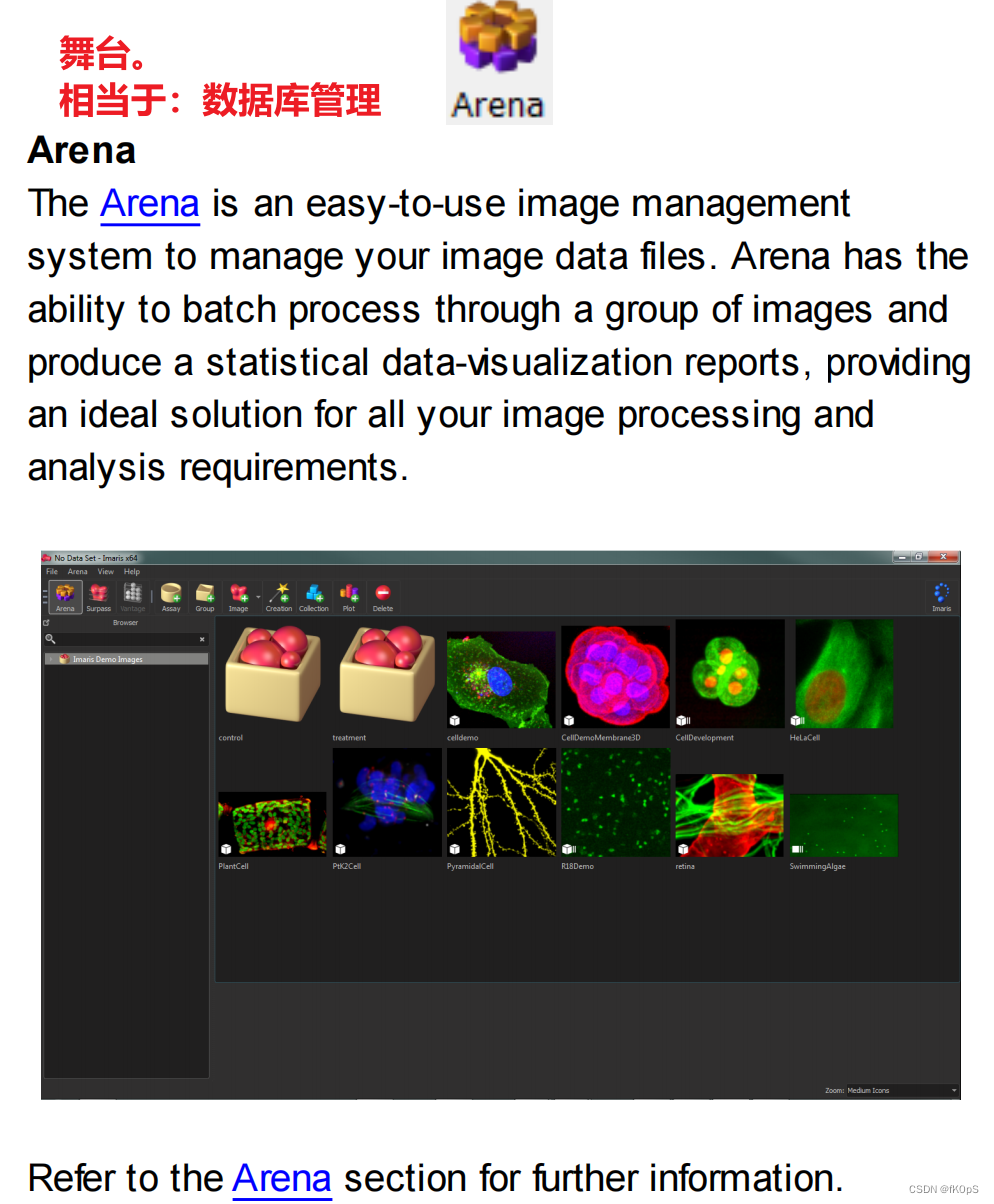 imaris如何导入3D结构数据，然后导出视频，导出图片_imaris三维重建-CSDN博客