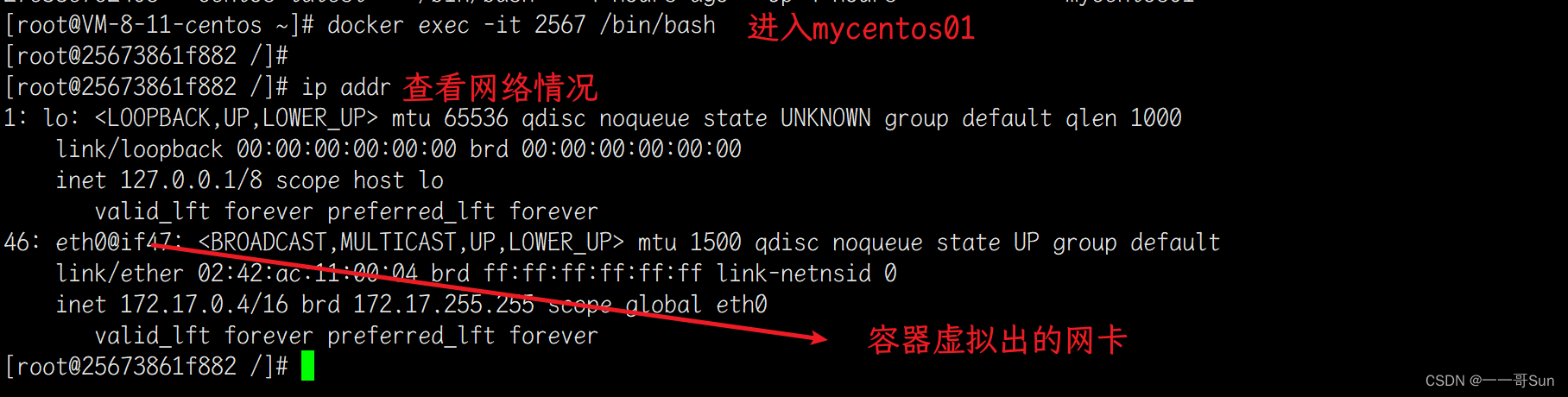 如何配置Docker网络的Bridge模式？看这里_thunderbolt bridge docker-CSDN博客