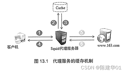 Linux--Squid 代理服务器_linux squid-CSDN博客