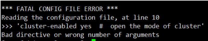 解决错误：FATAL CONFIG FILE ERROR ：Bad directive or wrong number of arguments-CSDN博客