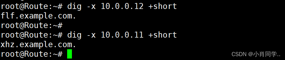 [linux系列|DNS]DNS详解①_dns opt-CSDN博客