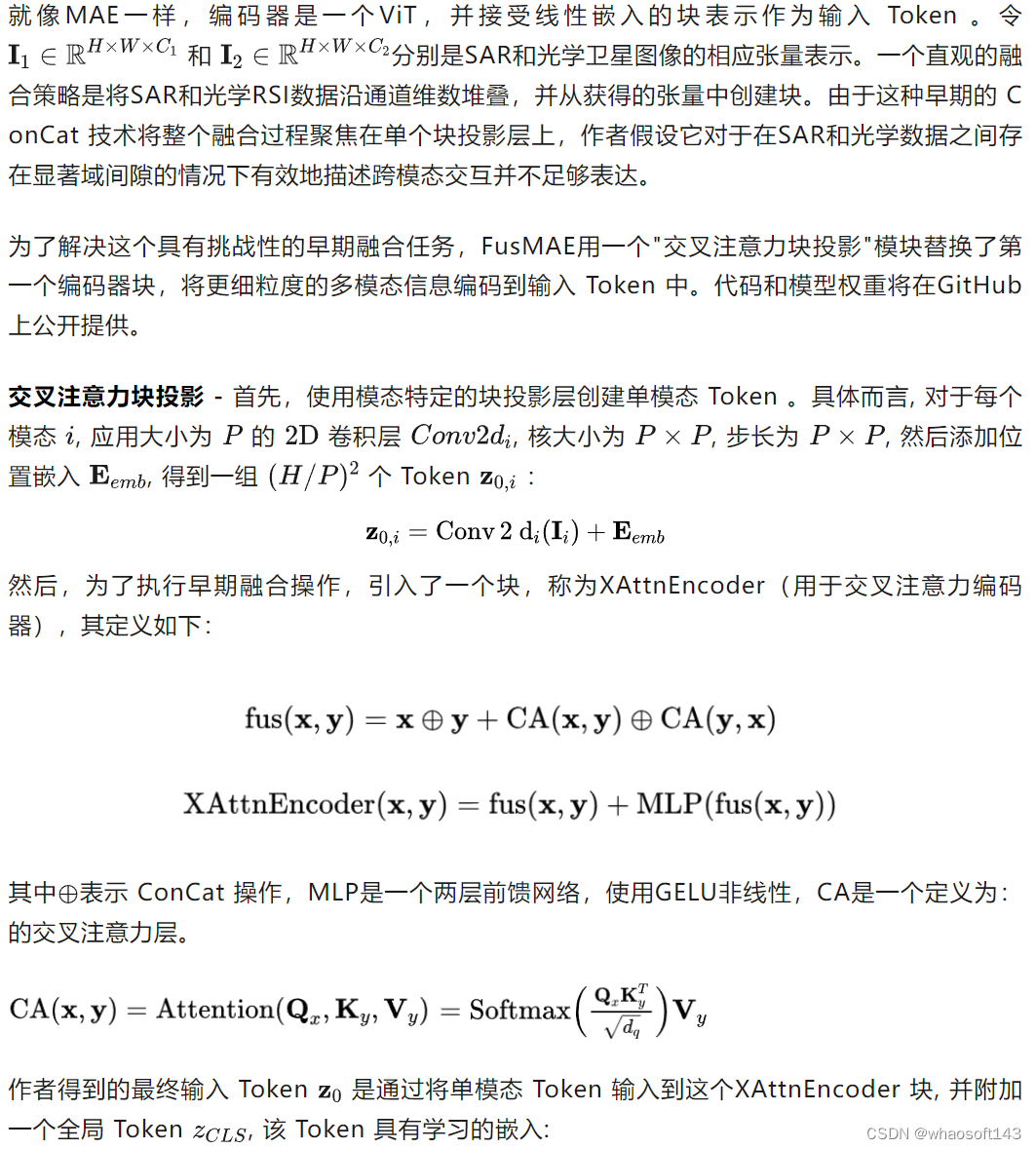Fus-MAE_dino 多标签-CSDN博客
