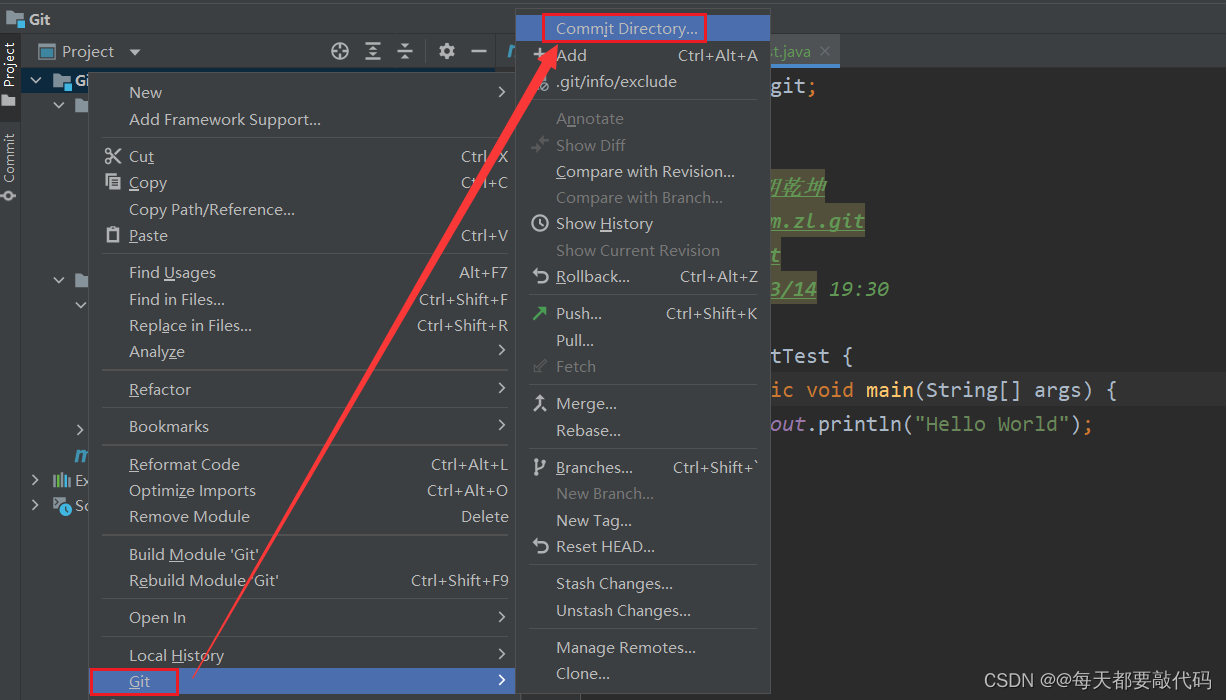 【分布式版本控制系统Git】| IDEA 集成 Git 、IDEA 集成 GitHub_idea git version control-CSDN博客