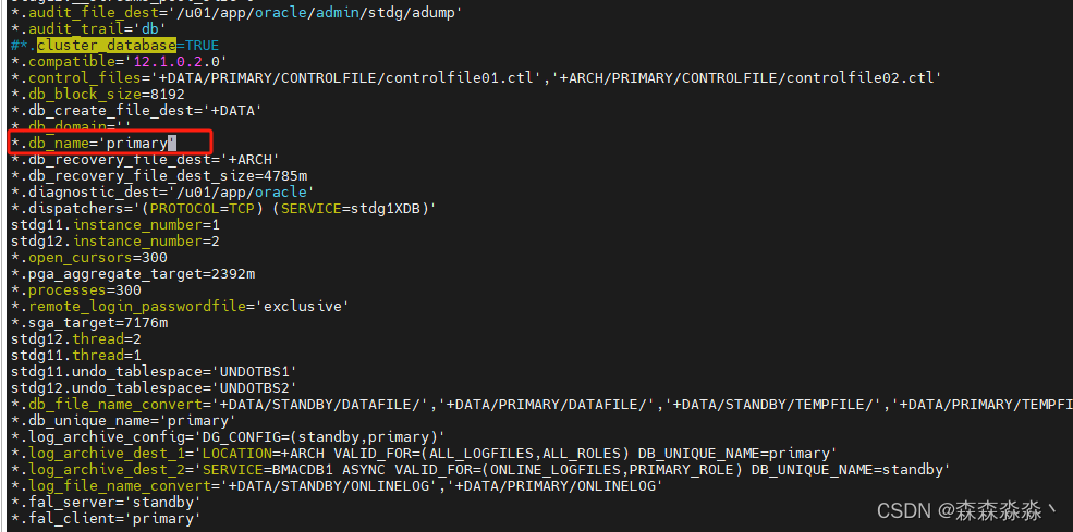 搭dg mount报错ora-01103 database name XXXX in control file 处理-CSDN博客