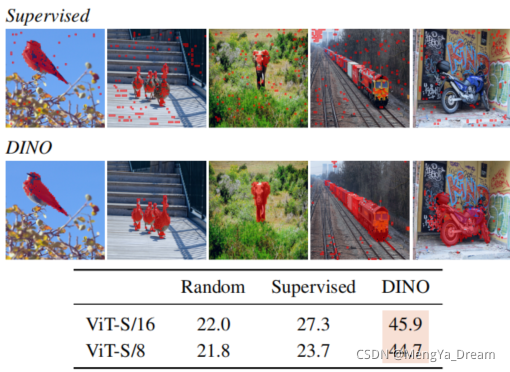 （DINO） Emerging Properties in Self-Supervised Vision Transformers——自监督ViT的新属性和几点思考-CSDN博客