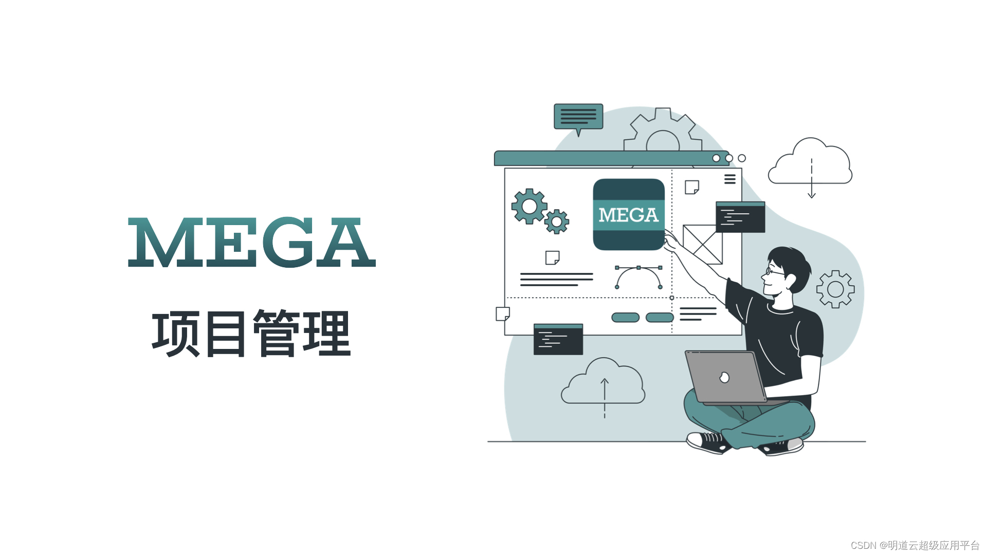 HAP官方力作：MEGA项目管理应用正式上线_客户交付型项目管理系统-CSDN博客