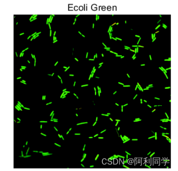 matlab细胞计数并求目标区域求面积_matlab 细胞计数-CSDN博客