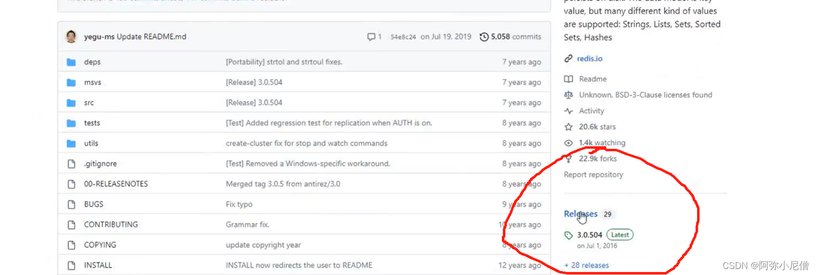 Redis的安装_redis gui-CSDN博客