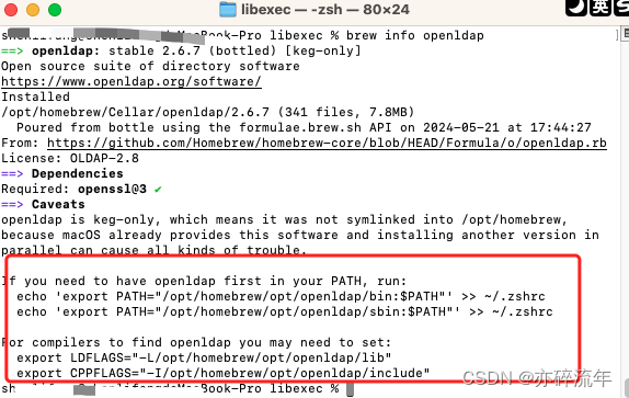 Mac上安装OpenLDAP服务器详细教程（Homebrew安装和自带的ldap）_mac ldap-CSDN博客