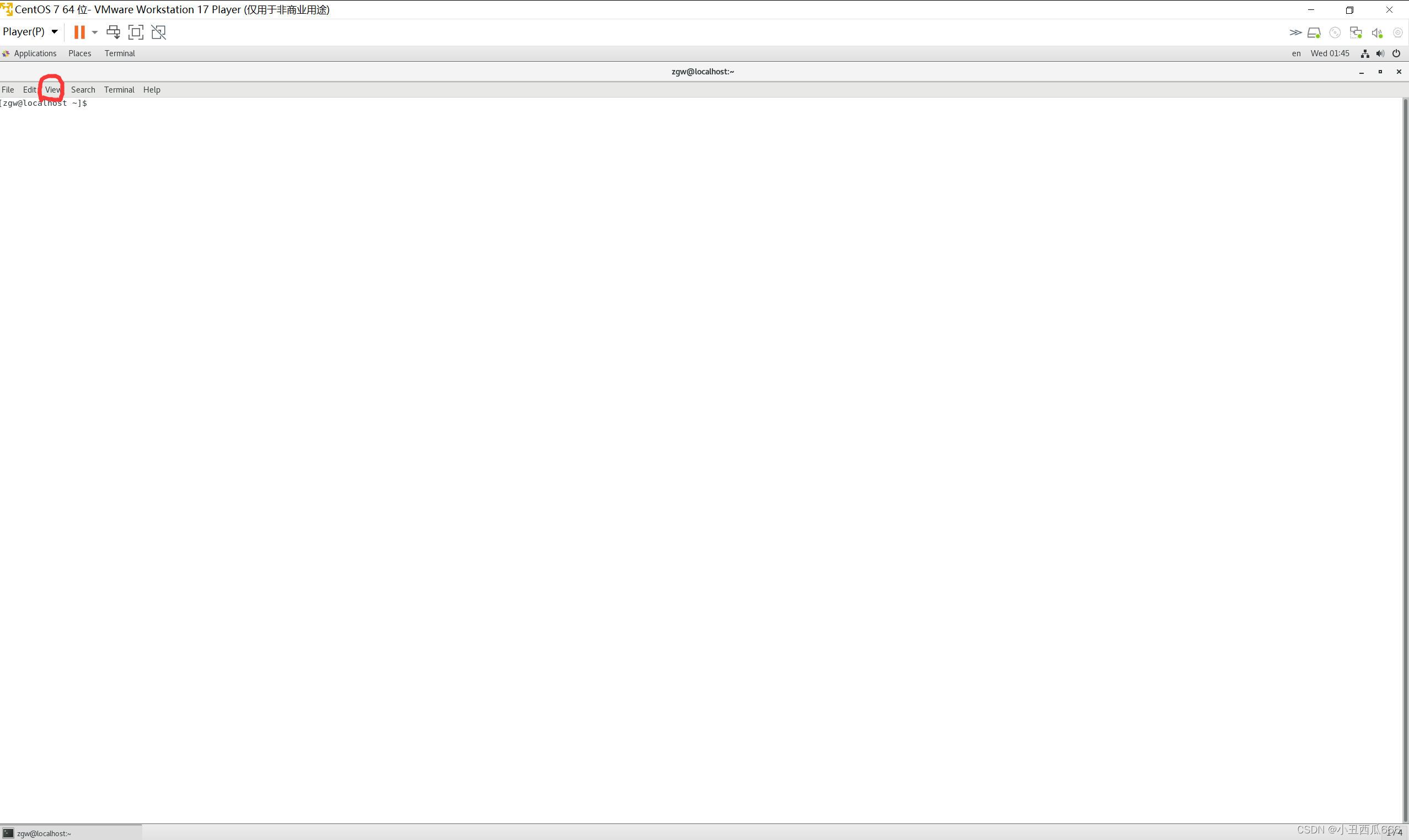 5分钟让你在LINUX系统写第一个C语言holleword（巨有成就感）_linux怎么写hello world-CSDN博客