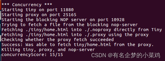 CSAPP的Lab学习——ProxyLab_proxylab实验-CSDN博客