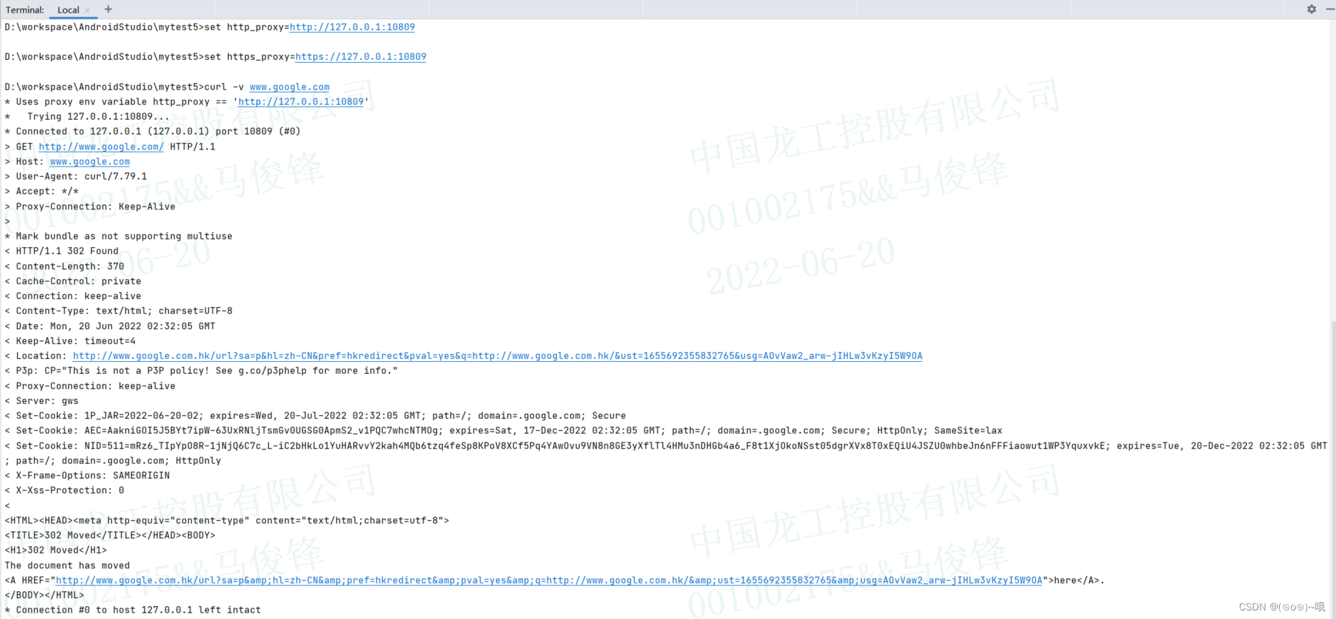 flutter web设置命令行代理解决运行chrome web时http报错问题以及网络图片加载报错解决方法_网络_(⊙o⊙)~哦-华为开发者空间
