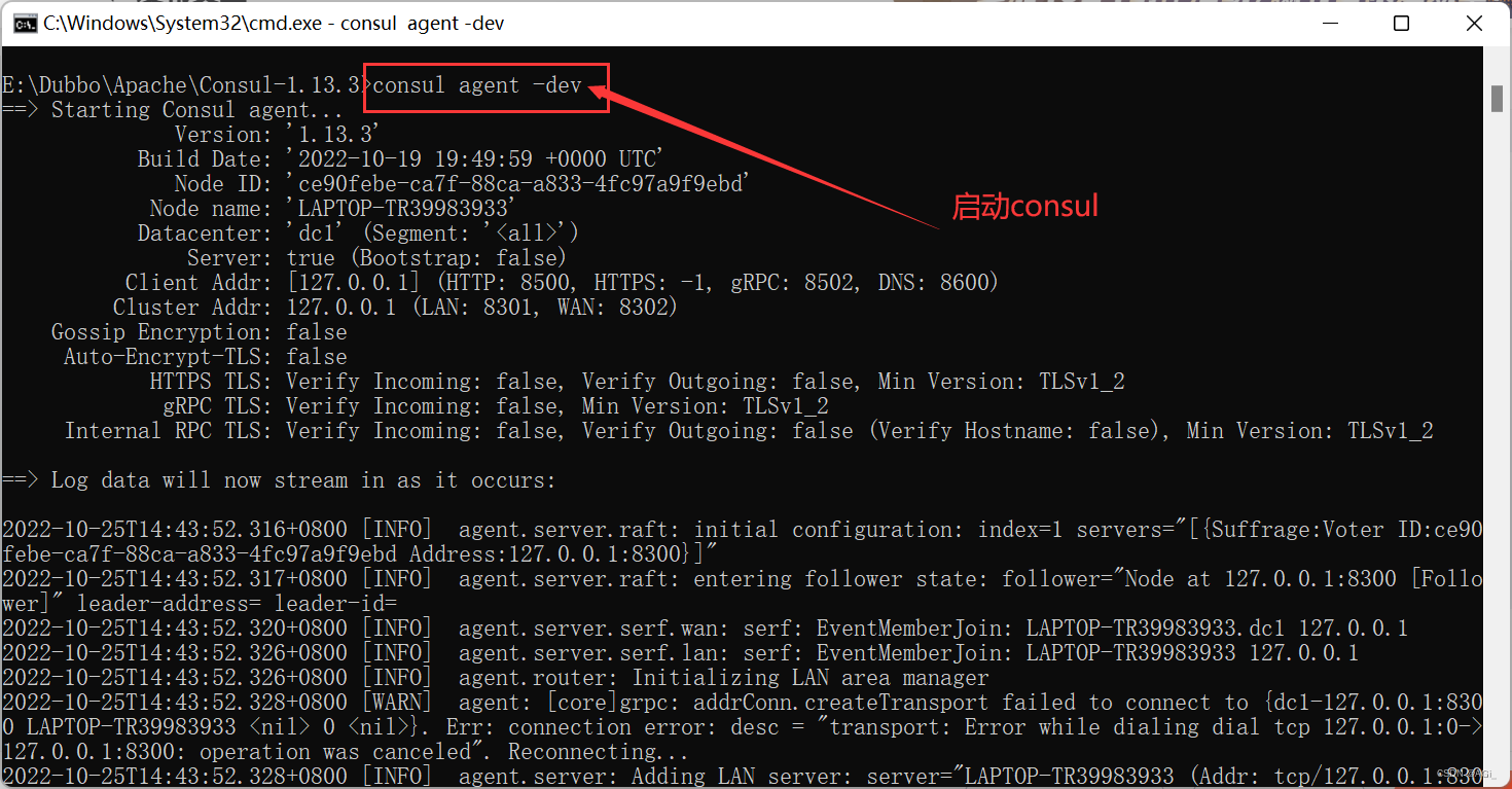 SpringCloud-Consul注册中心_spring consul 版本-CSDN博客