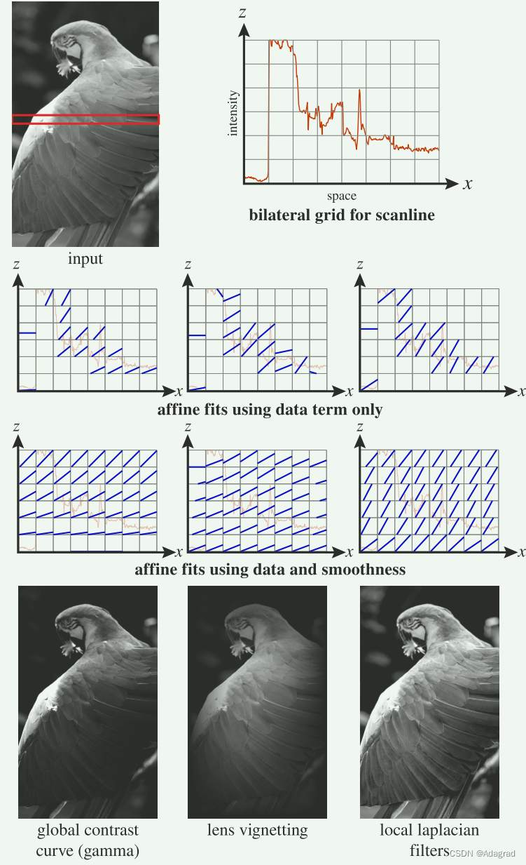 Bilateral Guided Upsampling-CSDN博客