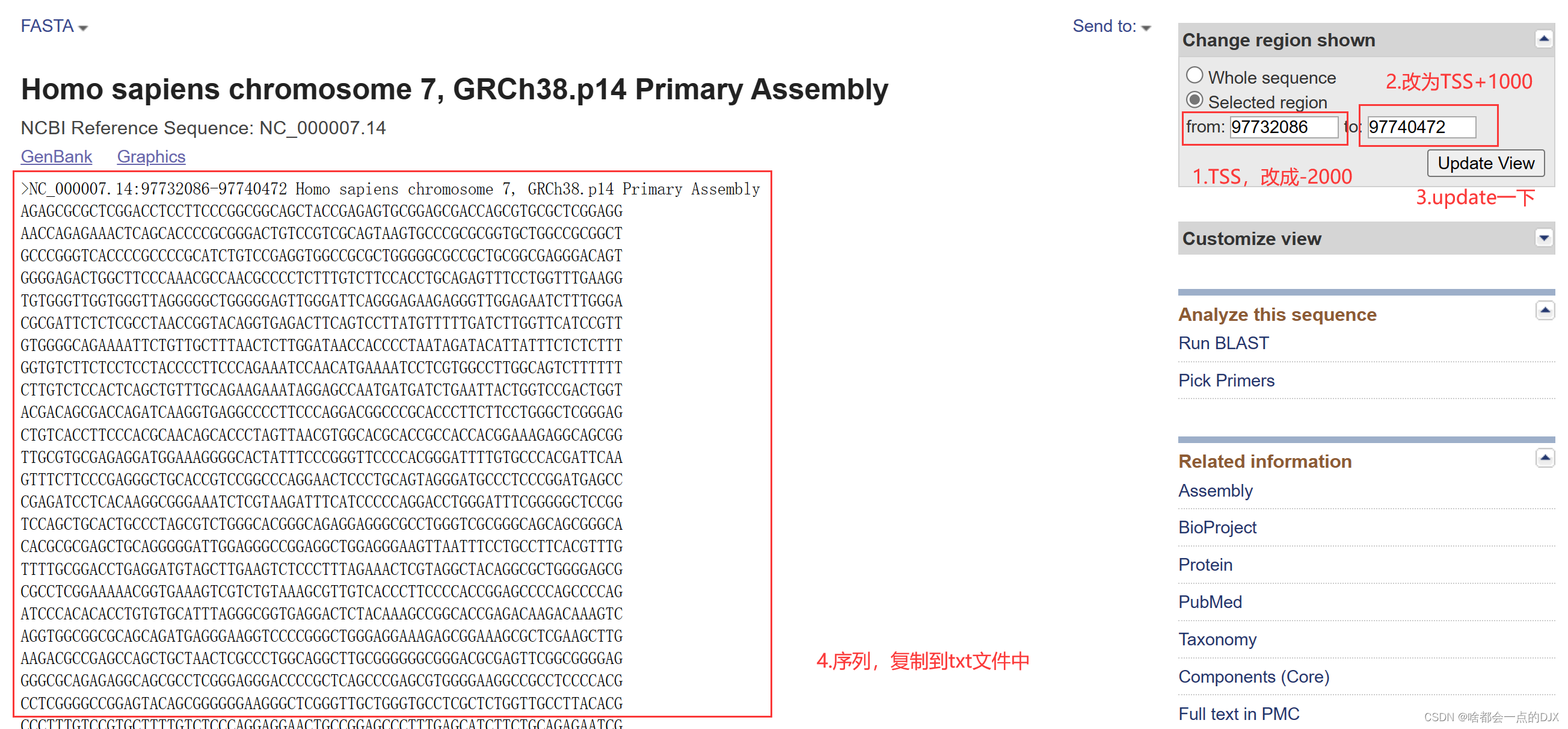 Rcurl+Python selenium爬取NCBI启动子序列进行FIMO meme实战_python提取启动子序列-CSDN博客
