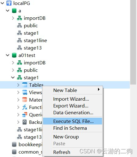 Navicat导出Postgres表结构并在新环境导入_pg navicate 批量导出表结构-CSDN博客