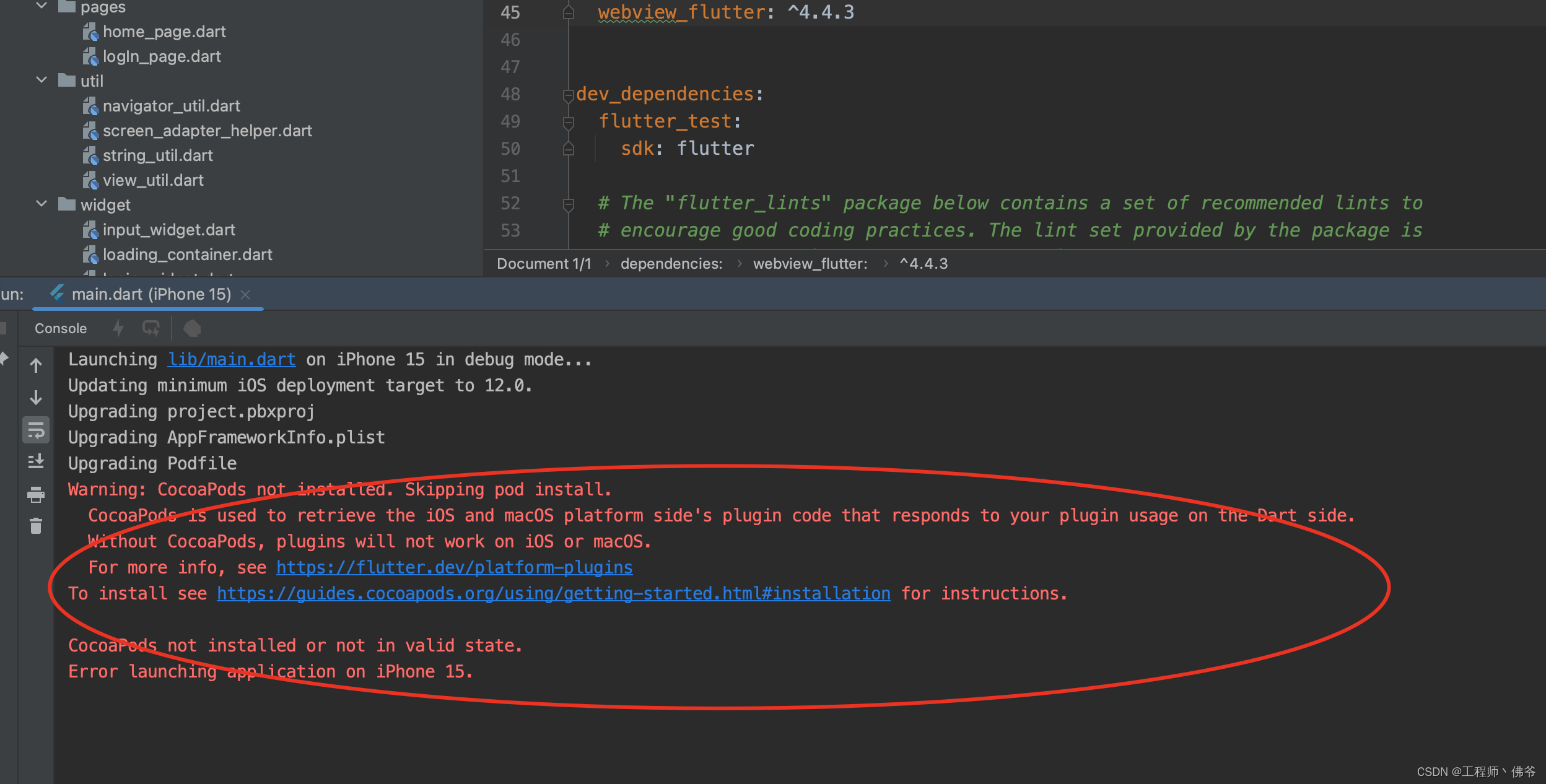 终极解决Flutter项目运行ios项目报错Without CocoaPods, plugins will not work on iOS or macOS.-CSDN博客