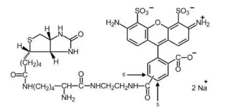 Alexa Fluor 488 TFP 酯，AF488-TFP，具有良好的荧光特性和光稳定性_af488 tetrafluorophenyl ...