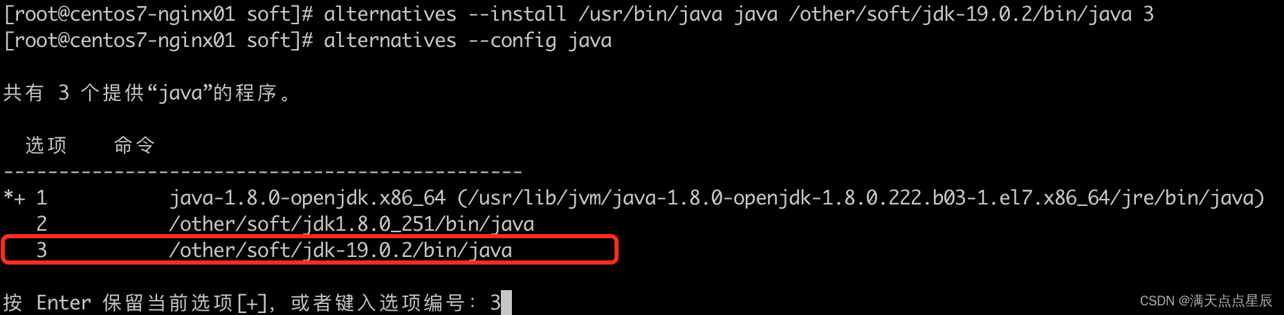 如何用alternatives命令进行java版本的转换_alternatives --config java-CSDN博客