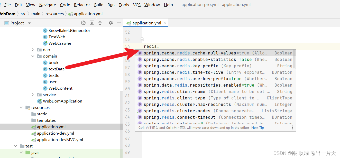 java springboot整合Redis_springboot项目jedis连接池的配置文件-CSDN博客