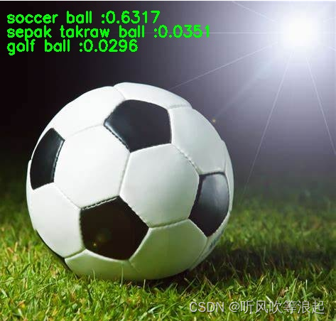 基于pytorch实现的 MobileViT 的图像识别（迁移学习）_mobilevit代码-CSDN博客