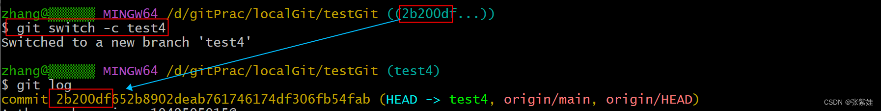 Git 核心概念详解：HEAD、游离 HEAD、origin/HEAD、ORIG_HEAD 和 FETCH_HEAD_detached head-CSDN博客