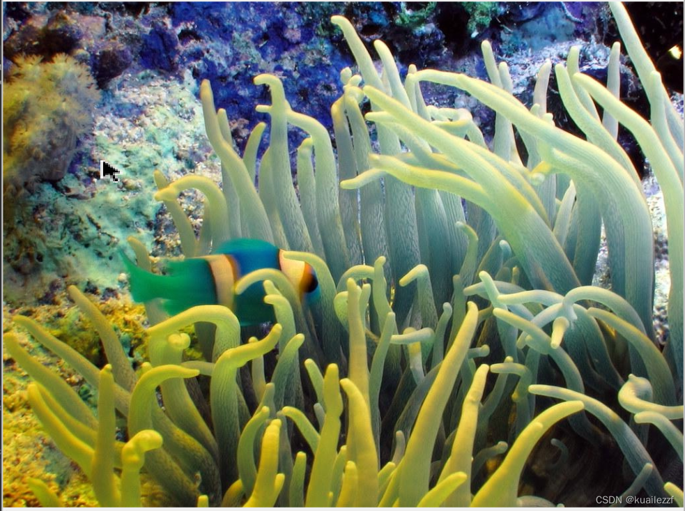 数据增强之Albumentations-CSDN博客