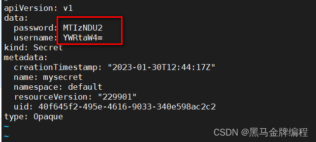 在k8s中使用secret存储敏感数据与四种用法_secret 数据保存密文-CSDN博客