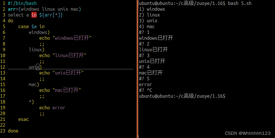 BashShell脚本实践：文件操作、数论判断与交互式菜单,-CSDN博客