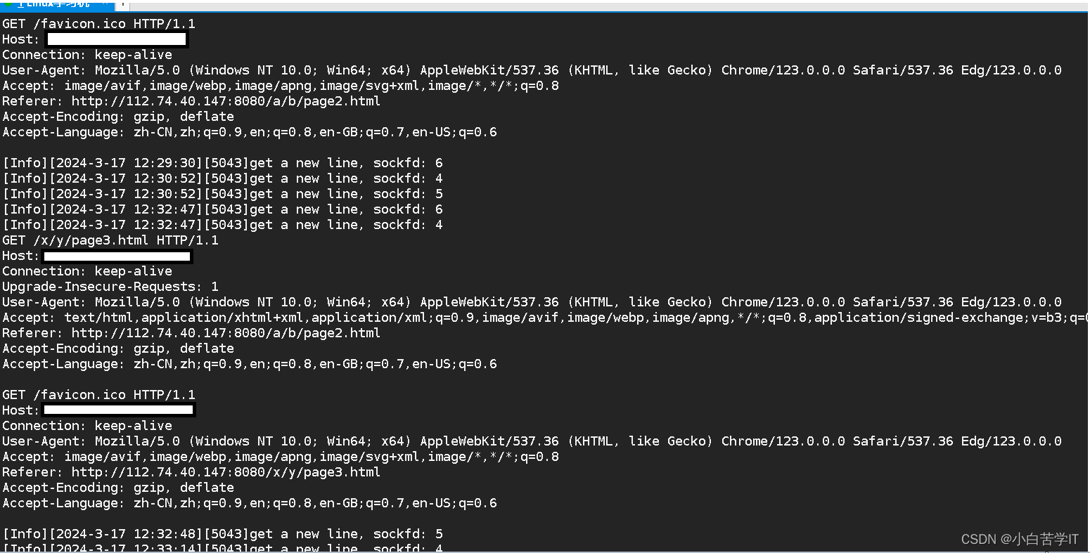 HTTP协议详解：从URL到HTTP报文的全貌_网址的格式url-CSDN博客