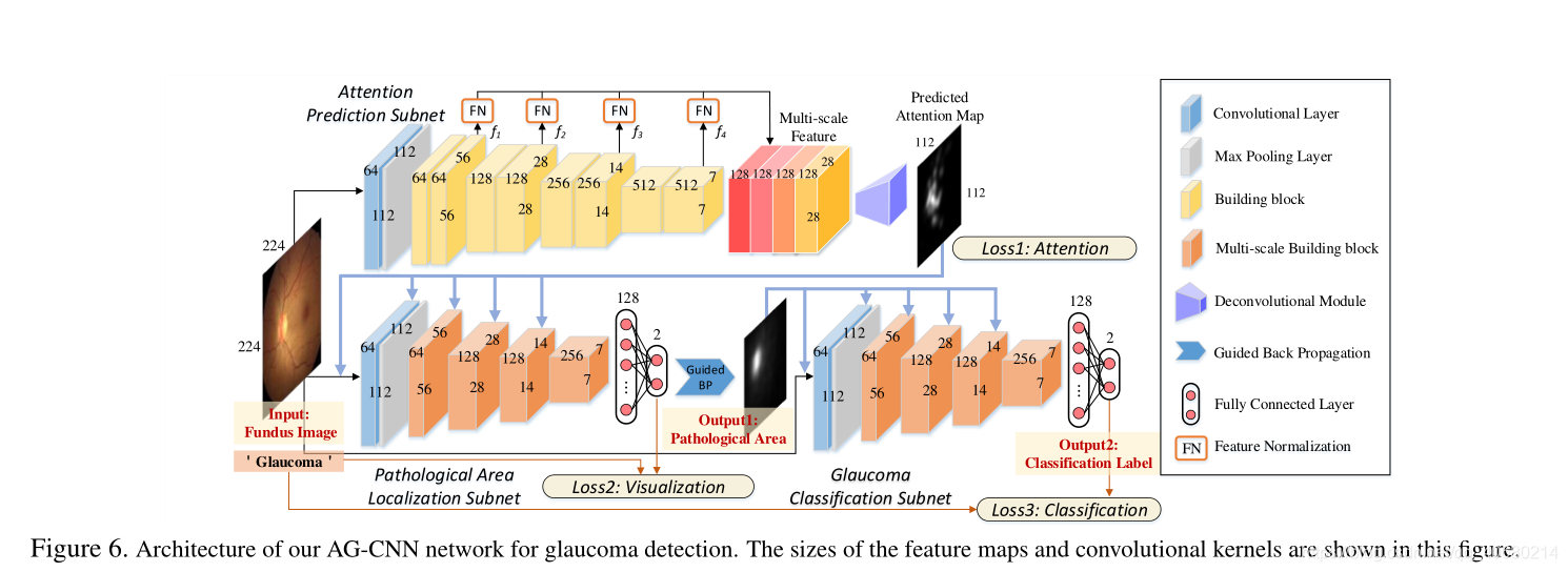 A Large-scale Database and a CNN Model for Attention-based Glaucoma Detection 论文解读_large-scale ...