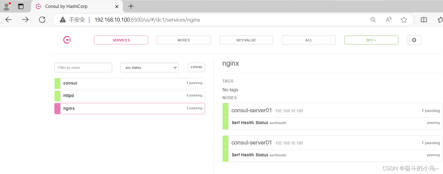Docker容器---docker-Consul部署_consul docker-CSDN博客