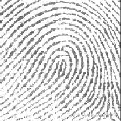 Halcon实例系列教程-应用范围-安全系统-指纹增强coherence_enhancing_diff.hdev_halcon指纹识别-CSDN博客