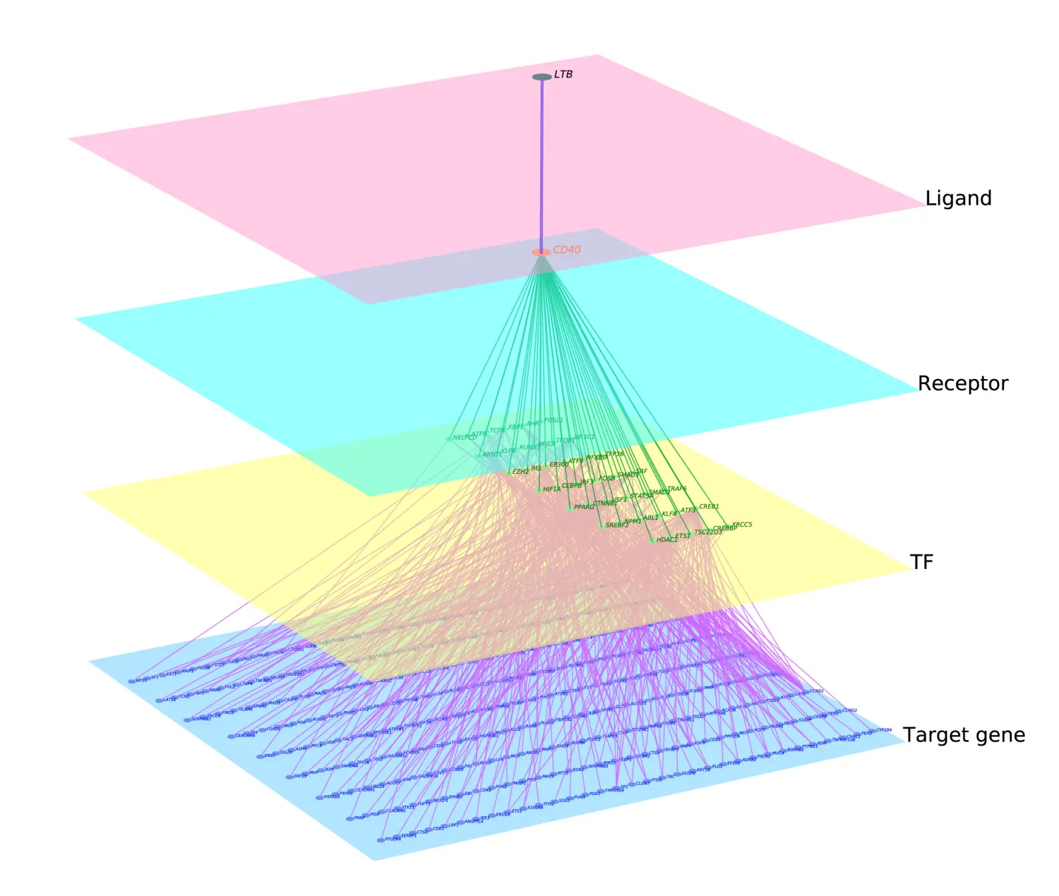 10X单细胞通讯分析之scMLnet（配受体与TF，差异基因（靶基因）网络通讯分析）-CSDN博客