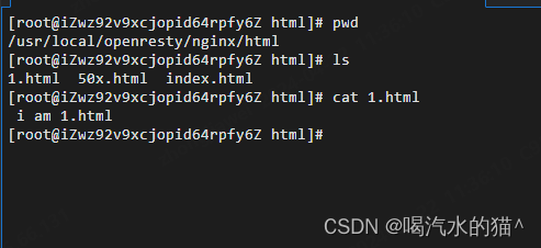 Nginx+Lua+OpenResty（详解及使用）_nginx lua-CSDN博客
