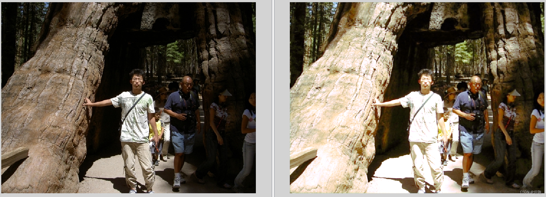 暗光增强——IAT网络推理测试（详细图文教程）-CSDN博客