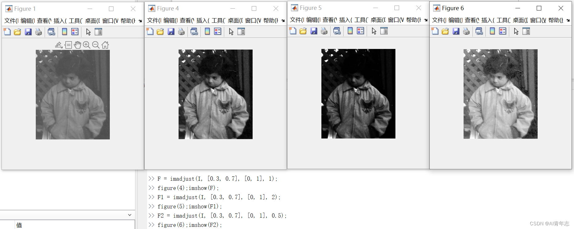 【数字图像处理matlab系列】空间域处理之亮度变换(imadjust函数使用)_matlab imadjust-CSDN博客